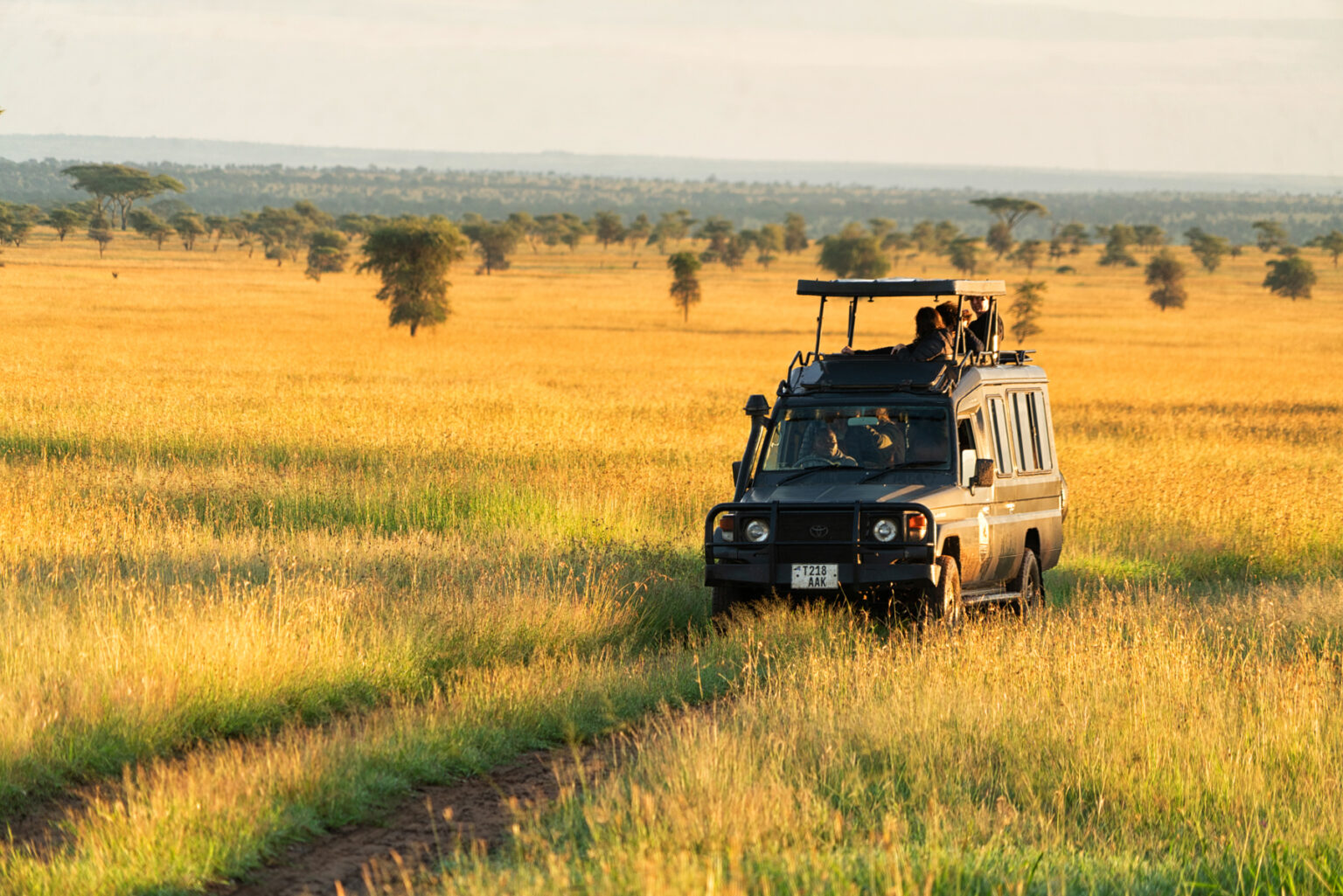 Consejos para hacer un safari en África | Maleta de viajes